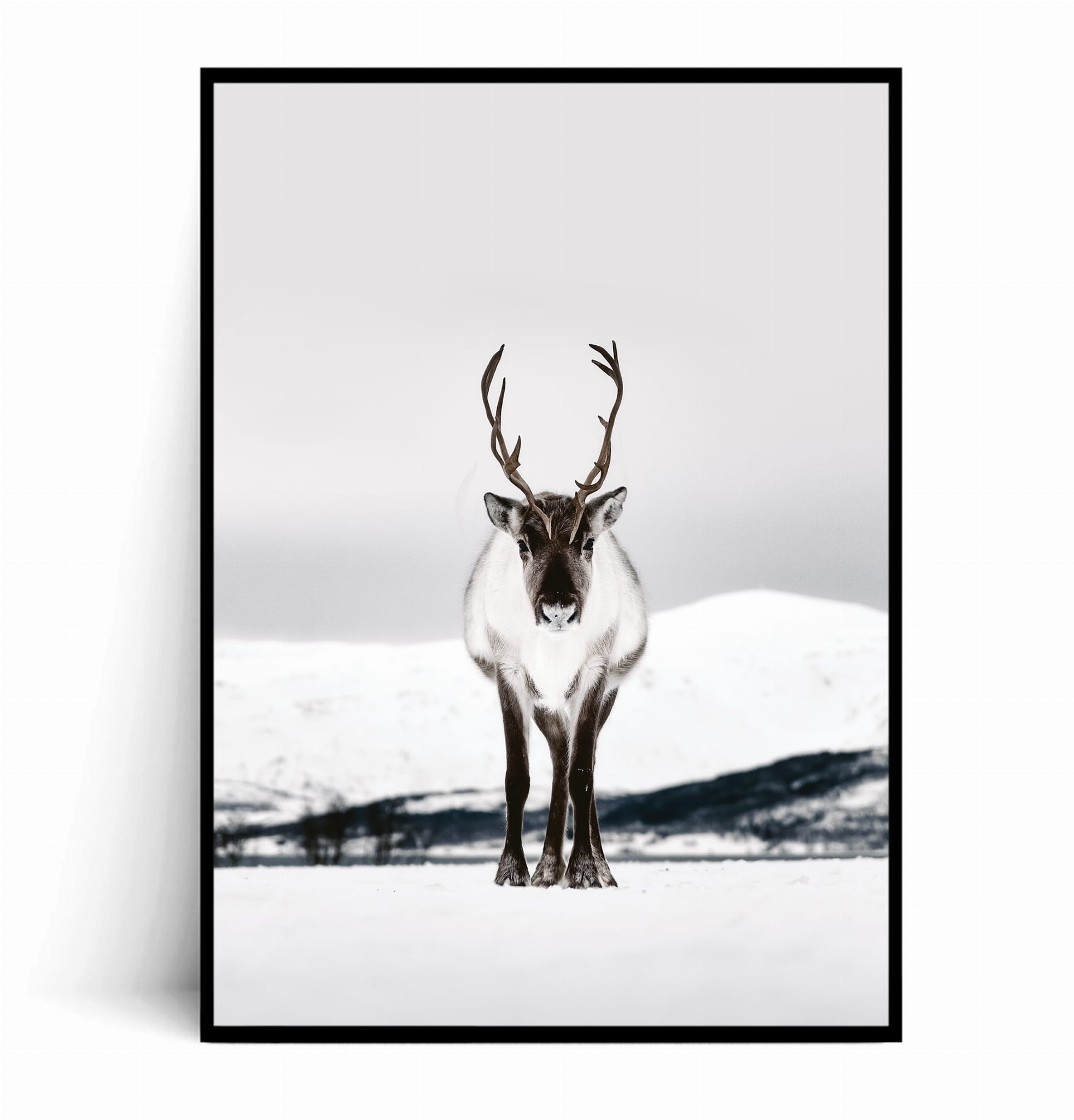 Plakat RENIFER no.4 FOX ART STUDIO